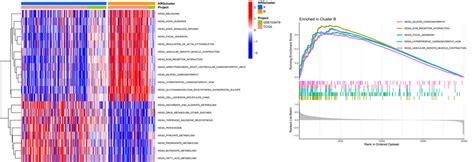 Screening Of Colon Cancer Apoptosis Related Genes Based On