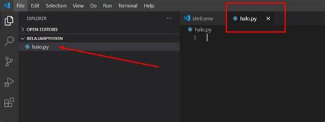 belajar python hello world komentar tipe data and variabel