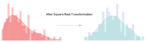 Square Root Transformation A Beginners Guide Quantifying Health