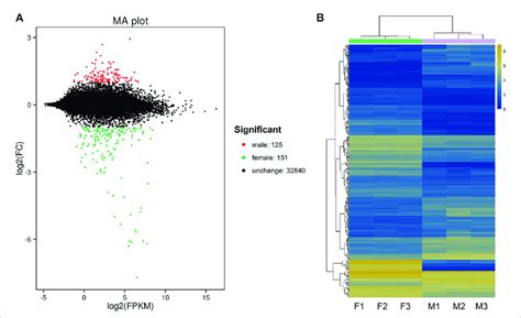 Differentially Expressed Gene Deg Analysis For The Brain