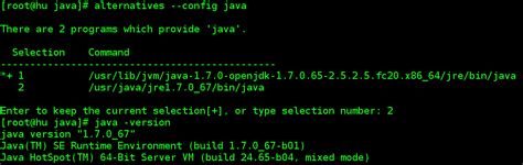how to install oracle jre on fedora 20 and use