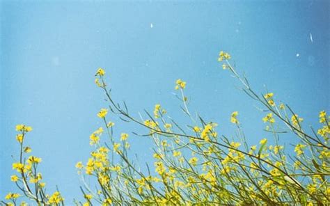 introduction to spring data jpa — part 4 bidirectional one