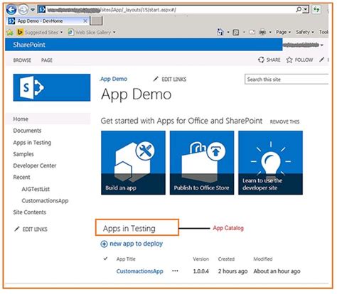 overview of sharepoint 2013 developer site template