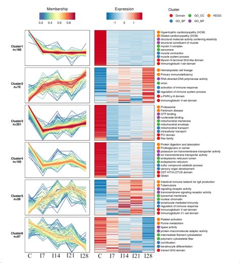 Functional Clustering Of Differentially Expressed Proteins All Time