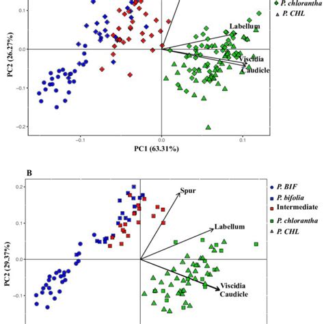 Principal Component Analysis Pca Based On Morphological Flower