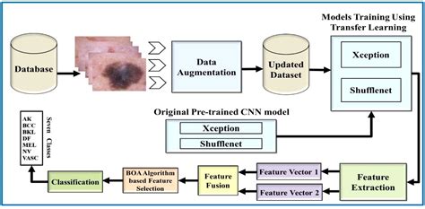 A Novel Framework Of Multiclass Skin Lesion Recognition From