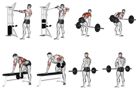 16 Melhores Exercícios Para Costas Largas E Volumosas