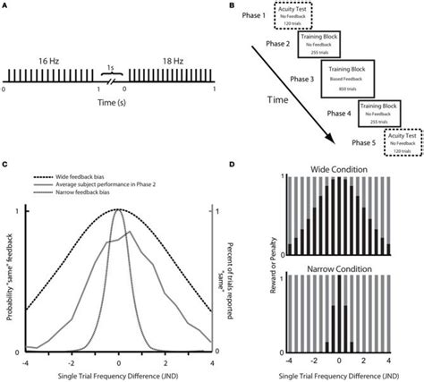Experimental Paradigm A Schematic Representation Of A Stimulus Pair