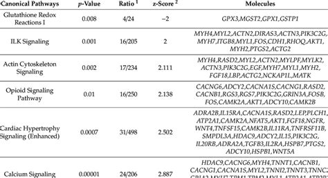 Ingenuity Pathway Analysis Ipa Based List Of Pathways In The Set Of
