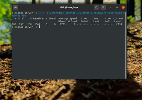 how to install nginx and php fpm on ubuntu 20 04 gamingsym