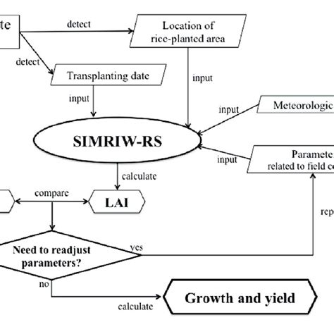 Flowchart Of The Integration Of Remote Sensing Data Into The Crop Model