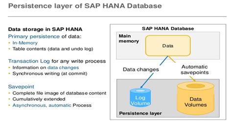 persistence layer in sap hana database importance