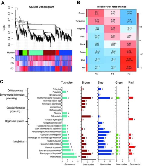Weighted Correlation Network Analysis Wgcna Of Co Expressed