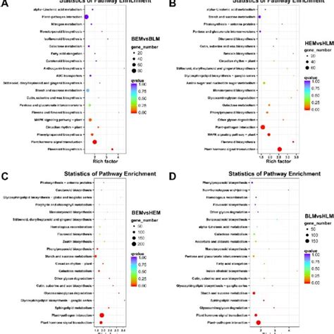 Go Enrichment Analysis Plots Of Degs In Different Comparison Groups A