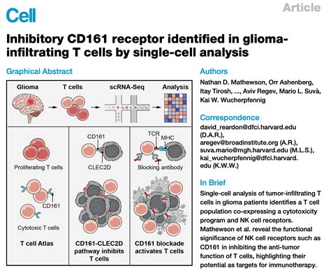 单细胞转录组文献分析方法[八] Inhibitory Cd161 Receptor Identified In Glioma
