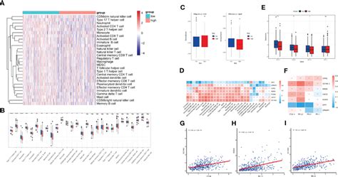 Evaluation Of Tme Immune Infiltration And Checkpoints Between The High