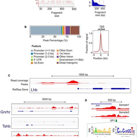Rna Seq Data Analysis A Heat Map Of Rna Seq Expression Data