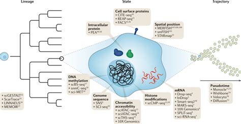 Integrative Single Cell Analysis Rna Sequencing Linnaeus Gene