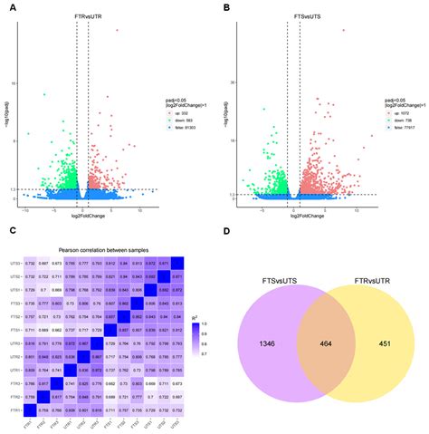 Agronomy Free Full Text Comparative Transcriptome Analysis Of The