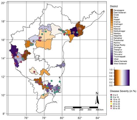 Agronomy Free Full Text Spatial Distribution Patterns For