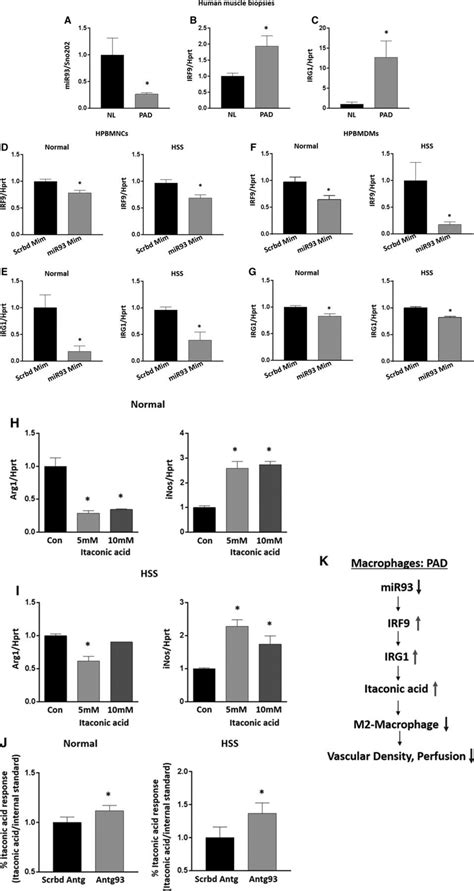 A Microrna93 Interferon Regulatory Factor 9 Immunoresponsive Gene 1