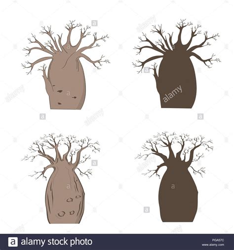 African Iconic Tree Vector Baobab Set Adansonia Gregorii Silhouette