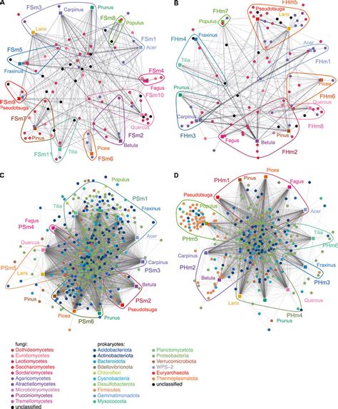 Bipartite Networks For The Fungal A And B And Prokaryotic C And D