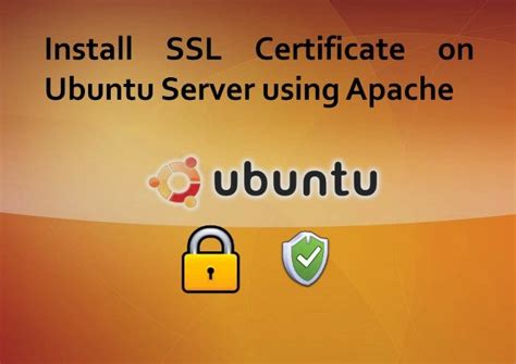 ubuntu install ssl certificate updated on august 2021