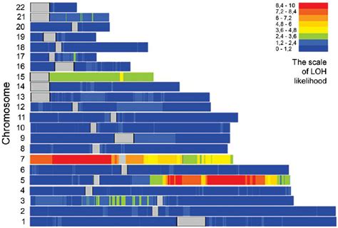 The Pattern Of Genome Wide Loh Score Derived By Snp Arrays In Set Of 19