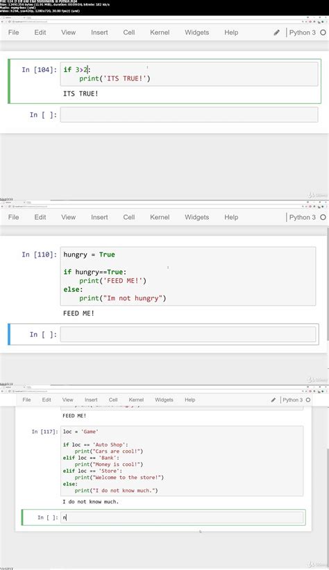 download complete python bootcamp go from zero to hero in python 3