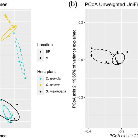 Principal Coordinates Analysis Pcoa Of Microbial Communities Of