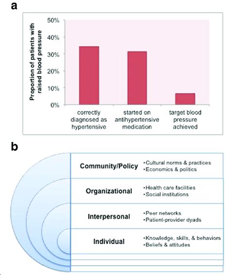 Conceptual Frameworks For This Systematic Review A A Stylized Cascade