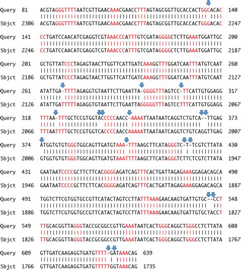 ncbi blast search of the assembled sequence of arthroleptis