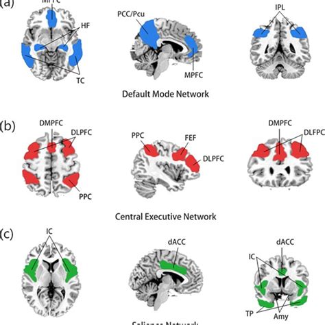 Aberrant Functional Connectivity Between Three Networks 1