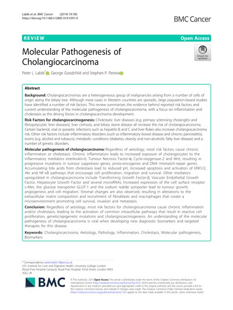 Pdf Molecular Pathogenesis Of Cholangiocarcinoma