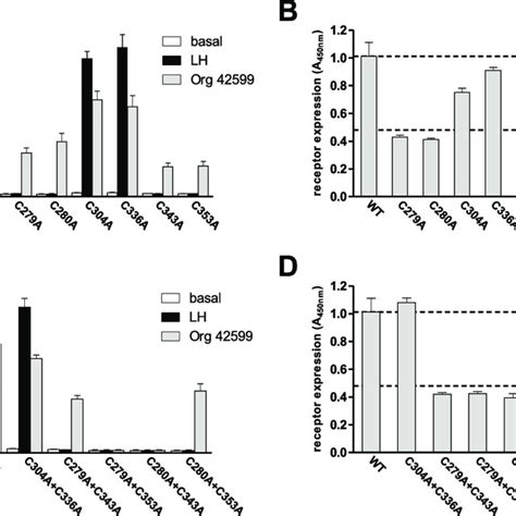 Mutation Of Cysteines Reveals Disulfide Bonding In C Terminal Ccr