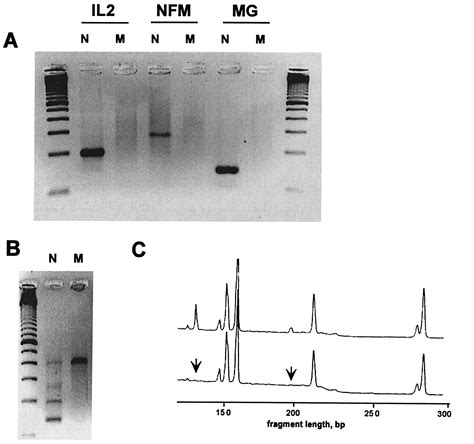 Multiplex Allele Specific Target Amplification Based On Pcr Suppression