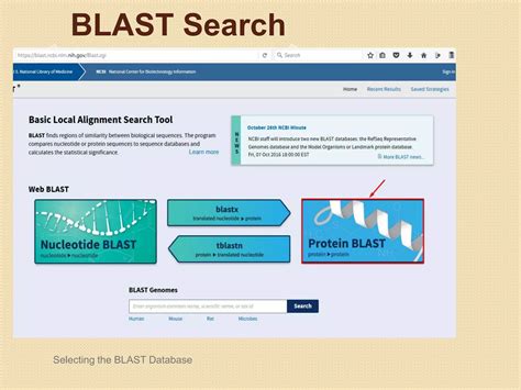 Blast Basic Local Alignment Search Tool Ppt Free Download