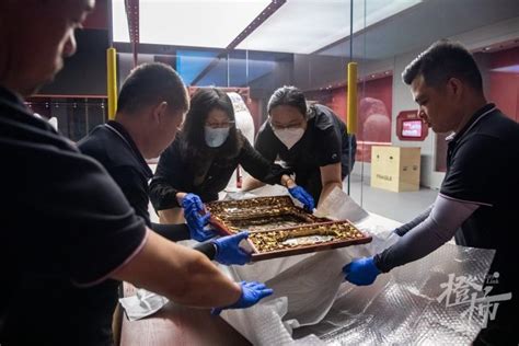 杭州discovery丨浙博镇馆之宝“万工轿”搬新家，独家见证高难度组装复原全过程 腾讯新闻