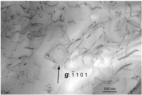 Typical Dislocation Microstructure Obtained In Kinematical Bright Field