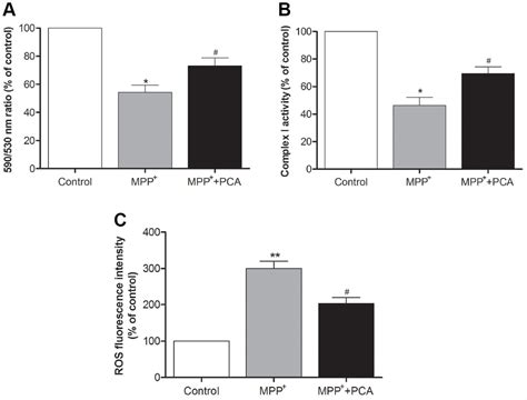 Neuroprotective Effects Of Protocatechuic Aldehyde Through Plk2 P Gsk3β