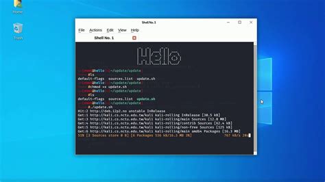 kali linux updating bash script youtube