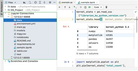 manage jupyter notebook servers jetbrains dataspell