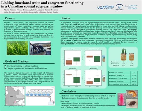 Pdf Linking Functional Traits And Ecosystem Functioning In A Canadian