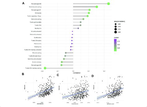 Immune Infiltration Analysis A Cibersort Algorithm Was Used To