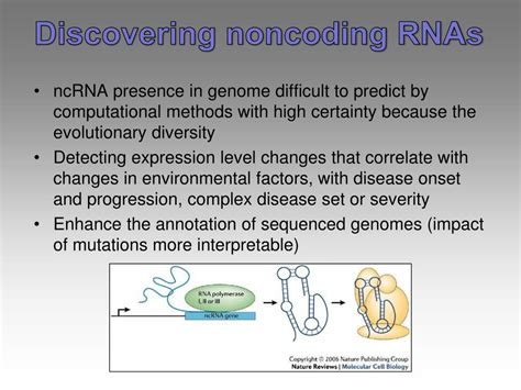 Ppt Next Generation Sequencing Platforms Applications Powerpoint