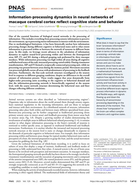 Pdf Information Processing Dynamics In Neural Networks Of Macaque