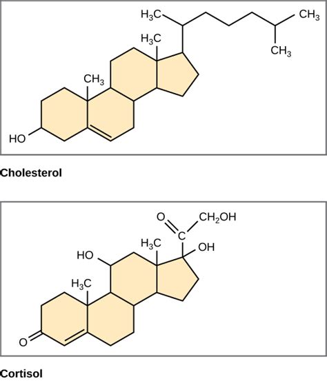 steroids introduction to chemistry