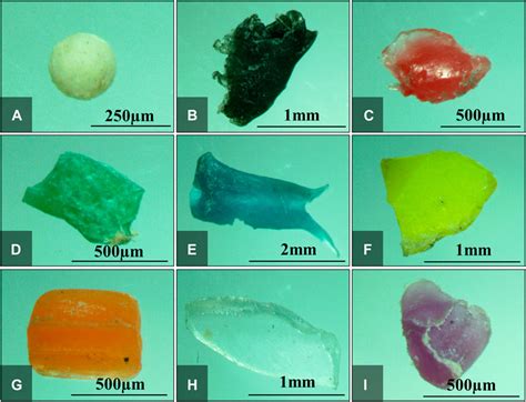 Frontiers Microplastics Occurrence In Surface Waters And Sediments In