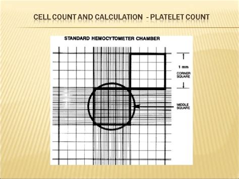 Hemocytometer Manual Cell Counting 1